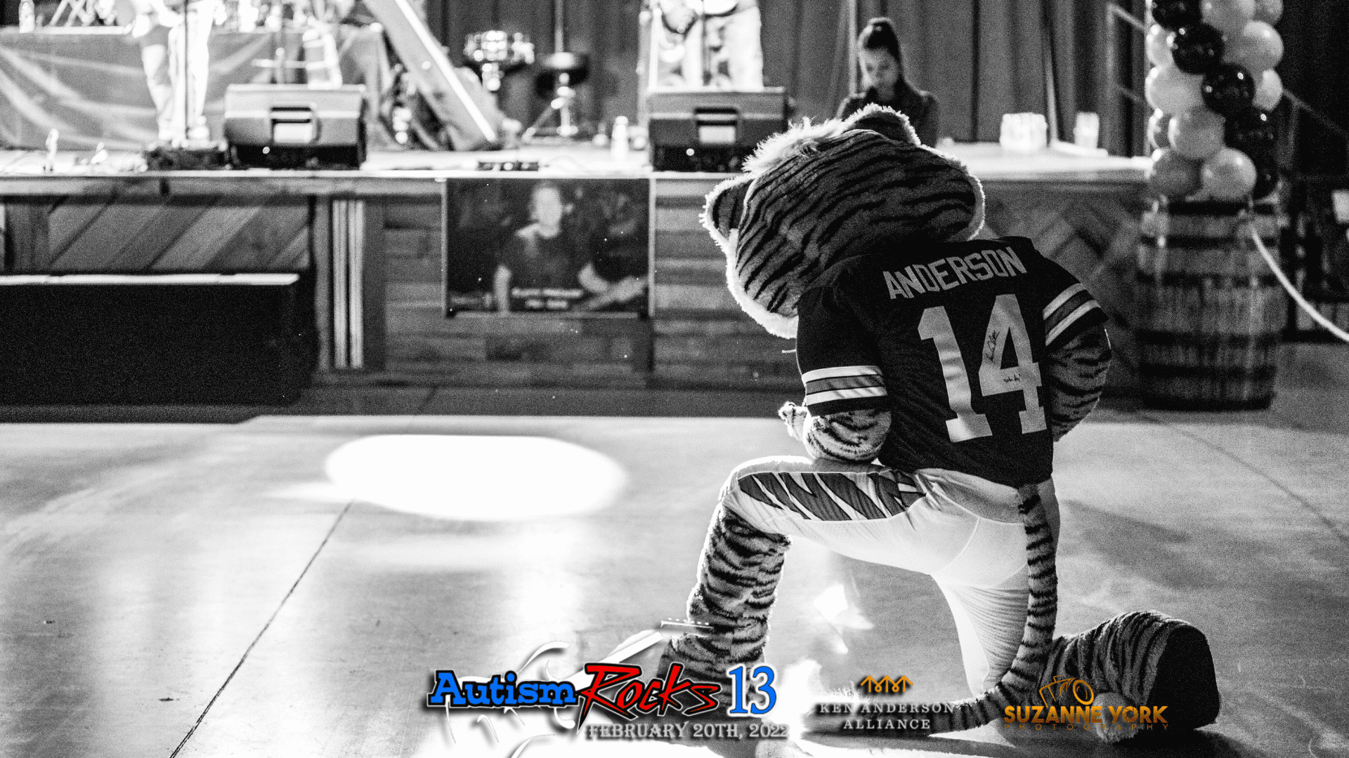 Autism Rocks 13: A Rocking Success - Ken Anderson Alliance